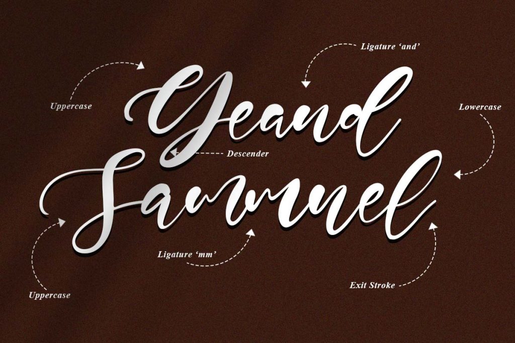 Andrew Script Handwritten font - Font Kong