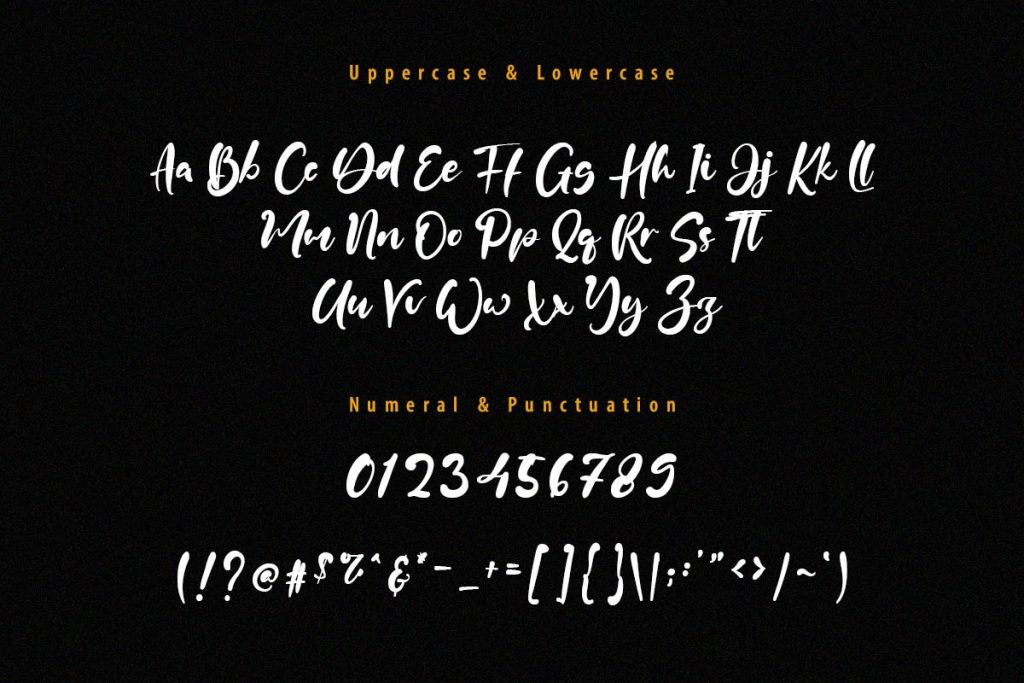 Julia Antonio Script Font - Font Kong