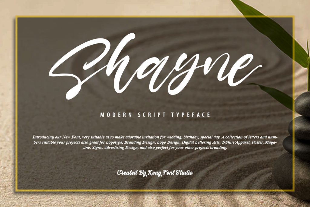 Shayne Calligraphy Script Font - Font Kong