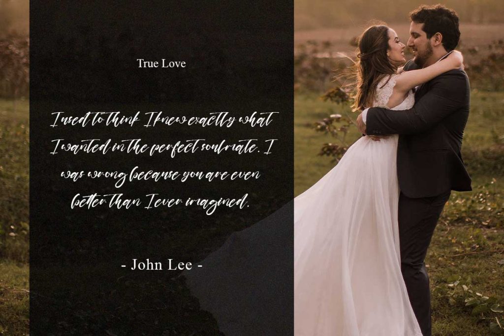 Shayne Calligraphy Script Font - Font Kong