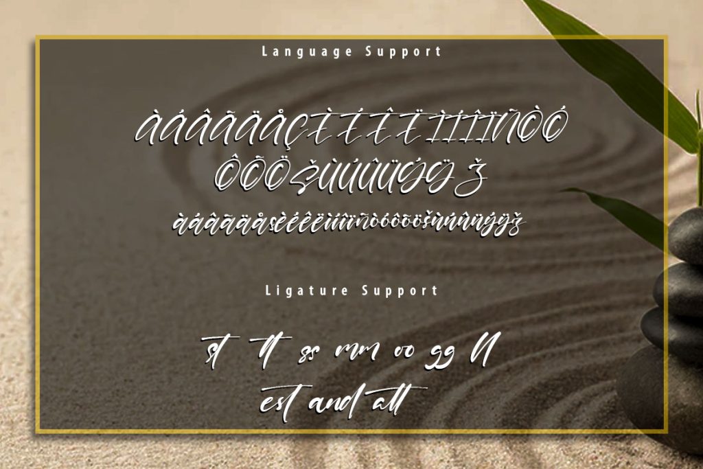 Shayne Calligraphy Script Font - Font Kong