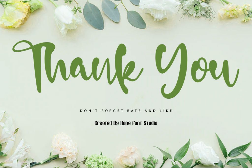 Courtney Modern Script Font - Font Kong