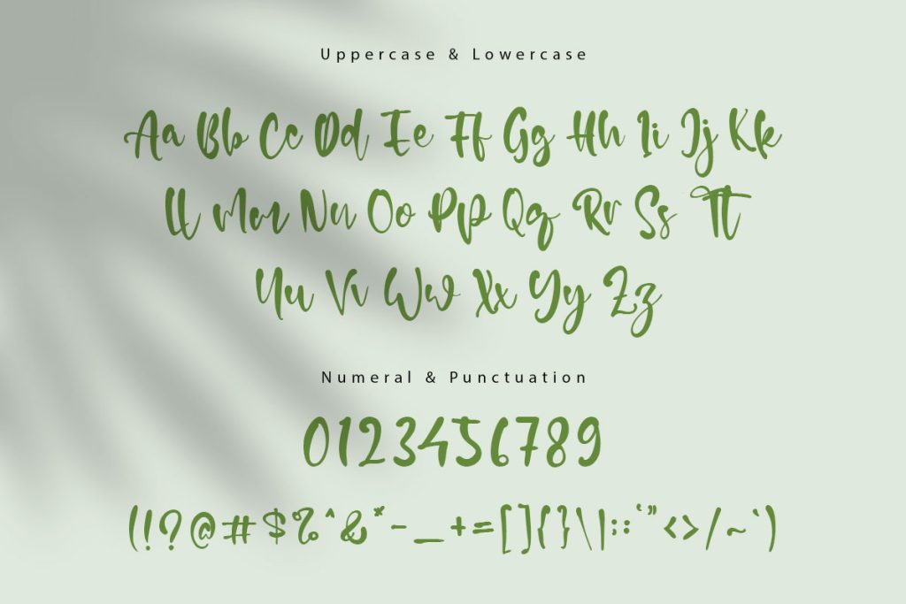 Courtney Modern Script Font - Font Kong