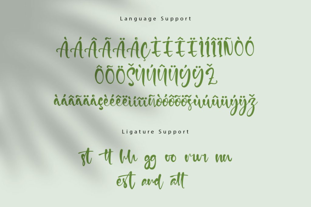 Courtney Modern Script Font - Font Kong