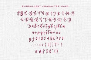 Beatriz Abilla Embroidery Font, Embroidery Handwritten Script Font, Bx ...