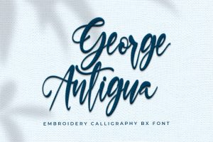 George Antigua Embroidery Font, Embroidery Handwritten Script Font, Bx ...