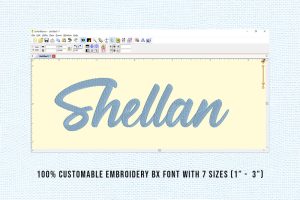 Shellan Embroidery Font, Embroidery Handwritten Script Font, Bx ...