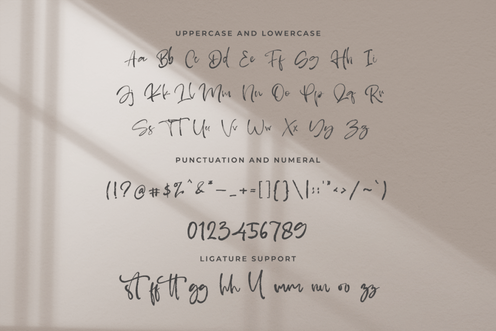 Danetta Handwritten Brush Font - Font Kong