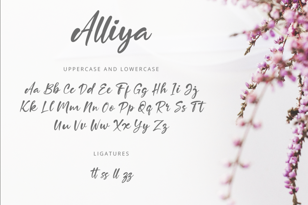 Alliya Modern Handwritten Font - Font Kong