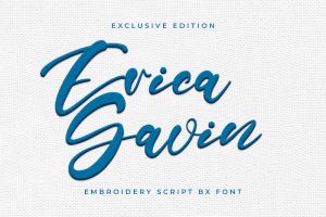 Erica Gavin Embroidery Font, Embroidery Script Font, Bx Embroidery ...