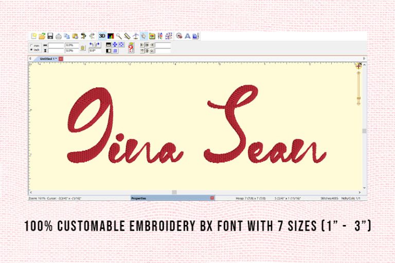 Gina Sean Embroidery Font, Embroidery Handwritten Script Font, Bx ...