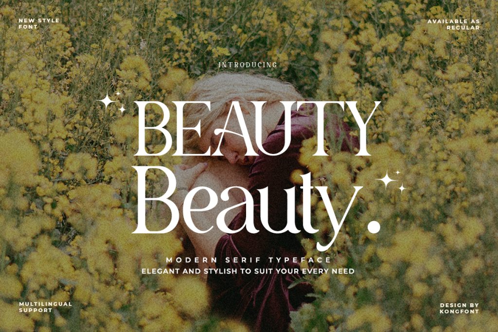 Beauty Modern Serif Font - Font Kong