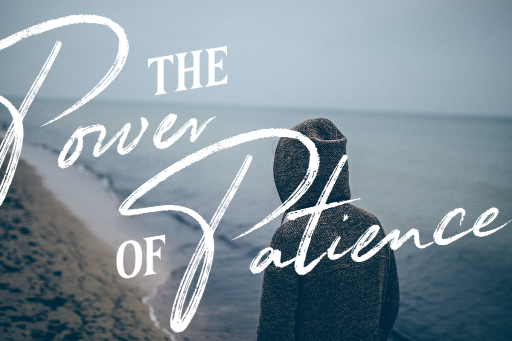 Storybrushes Classy Script Bush Font - Font Kong