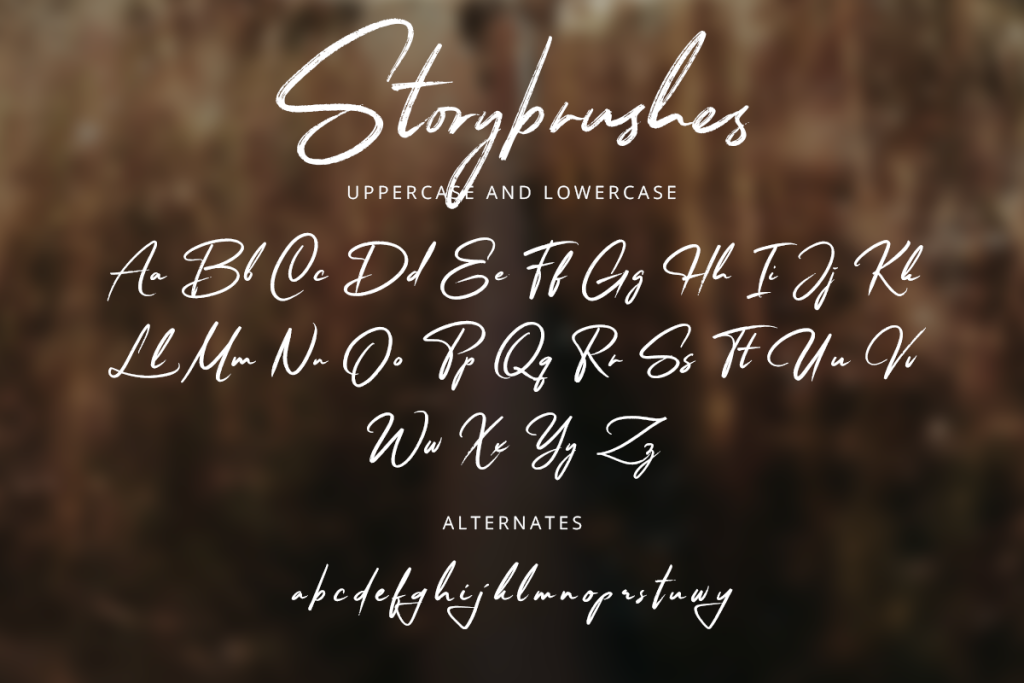 Storybrushes Classy Script Bush Font - Font Kong