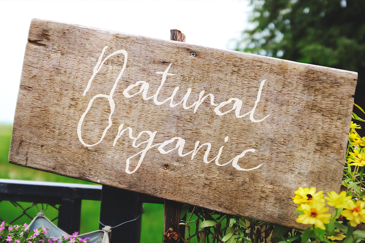 Flush Modern Display Decorative Font - Font Kong