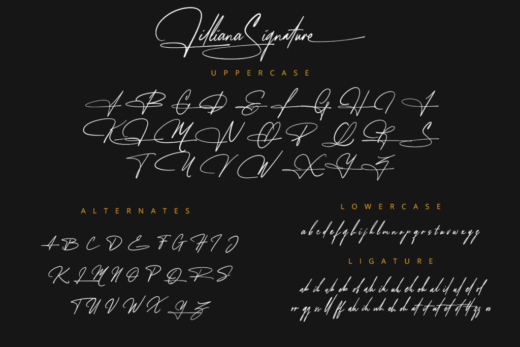 Lilliana Signature Classy Handwritten Script Font - Font Kong