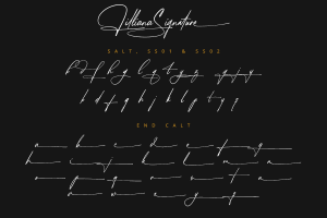 Lilliana Signature Classy Handwritten Script Font - Font Kong