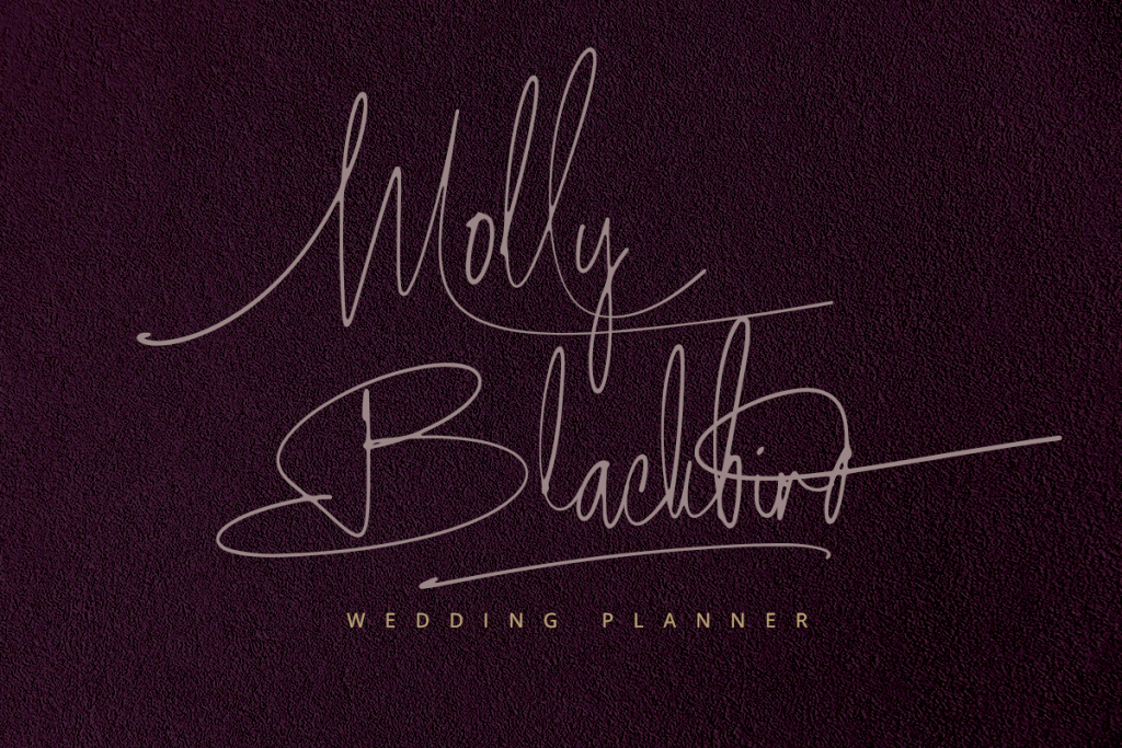 Outlouders Signature Classy Handwritten Script Font - Font Kong